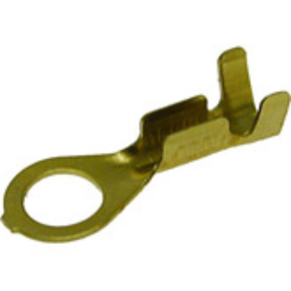 TERMINAL FIO-RAINHA-ETE7021 - SK Mobility